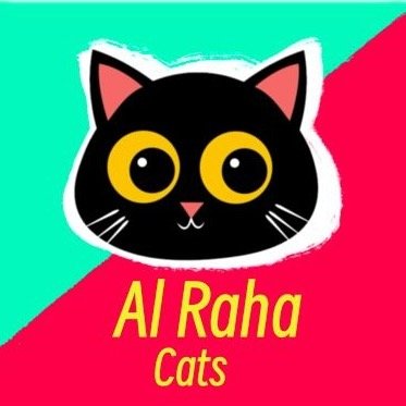 Al Raha Cats – Purrfect Pet Supplies
